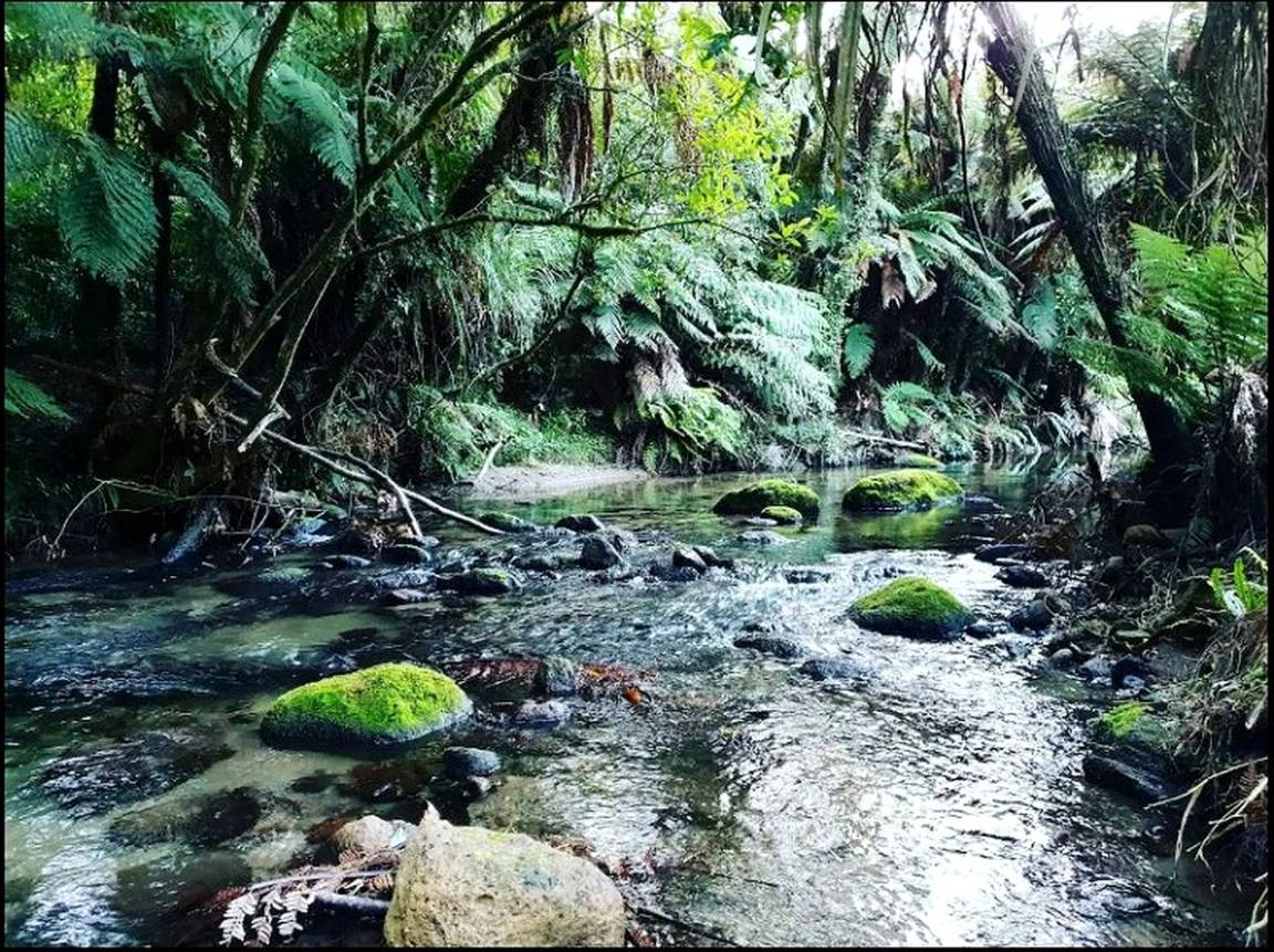 Camping ∙ 1 Bedroom ∙ 2 Guests - Bay of Plenty
