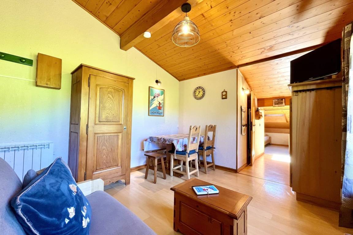 27 M² Appartement ∙ 1 Chambre ∙ 4 Personnes - Combloux