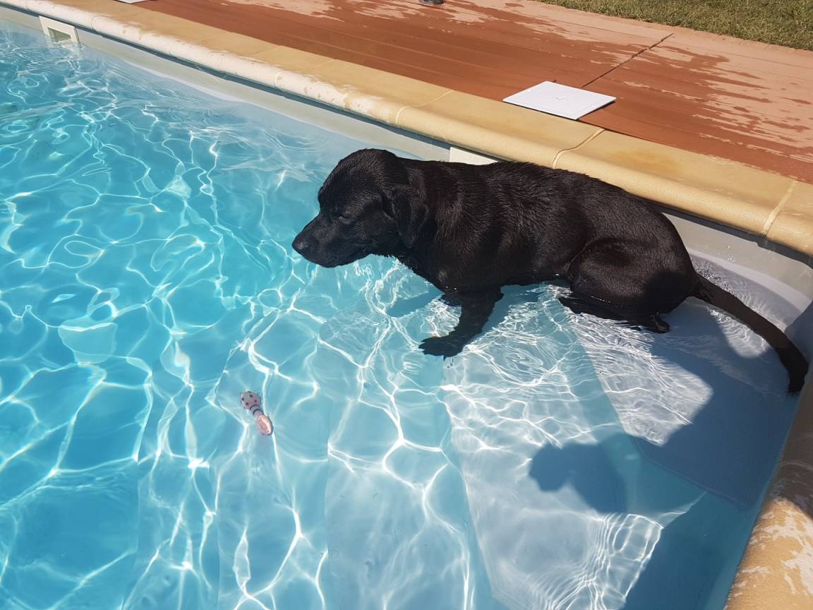 200 M² Villa ∙ 5 Chambres ∙ 12 Personnes - Roussillon