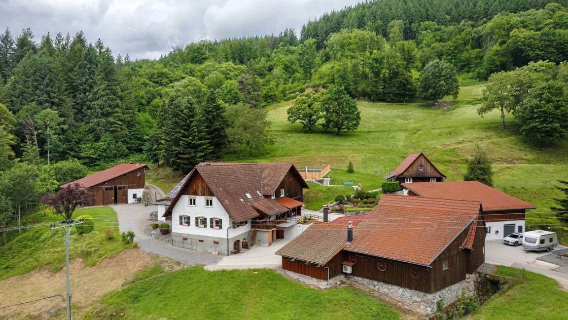 55 M² Apartment ∙ 2 Bedrooms ∙ 5 Guests - Black Forest