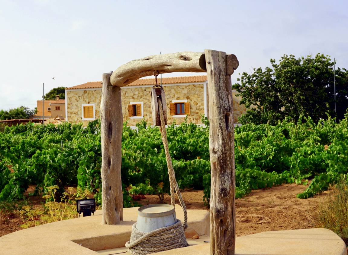 45 M² Bungalow ∙ 1 Habitación ∙ 4 Huéspedes - Formentera