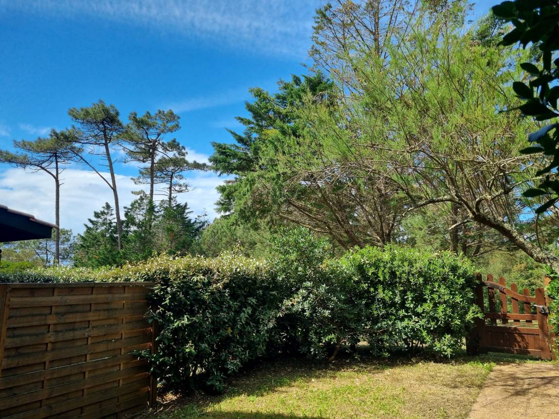 77 M² House ∙ 3 Bedrooms ∙ 6 Guests - Seignosse