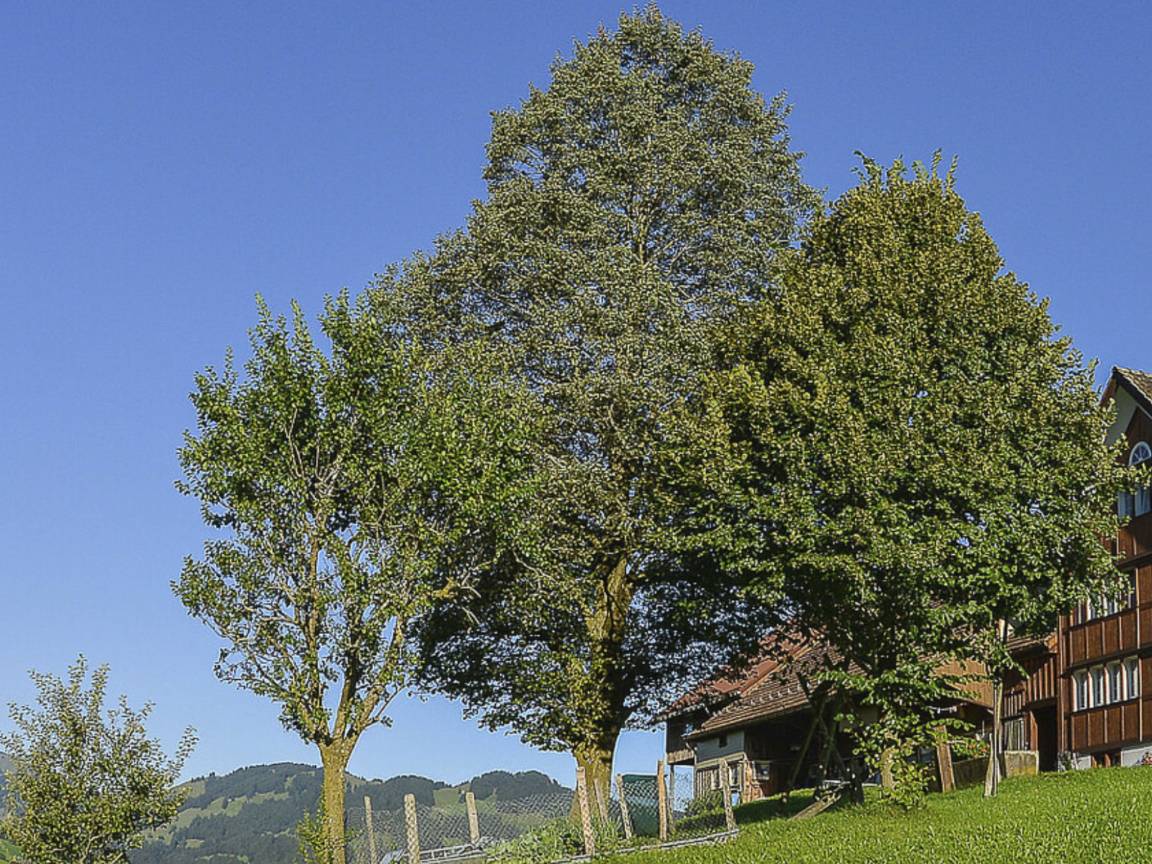 90 M² Apartment ∙ 2 Bedrooms ∙ 4 Guests - Appenzell