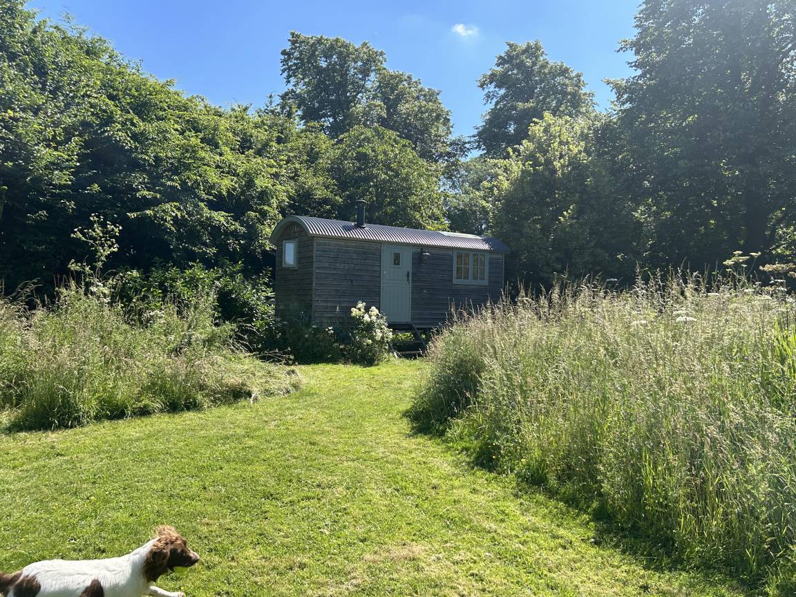 40 M² Chalet ∙ 1 Chambre ∙ 2 Personnes - Bedford, Royaume-Uni