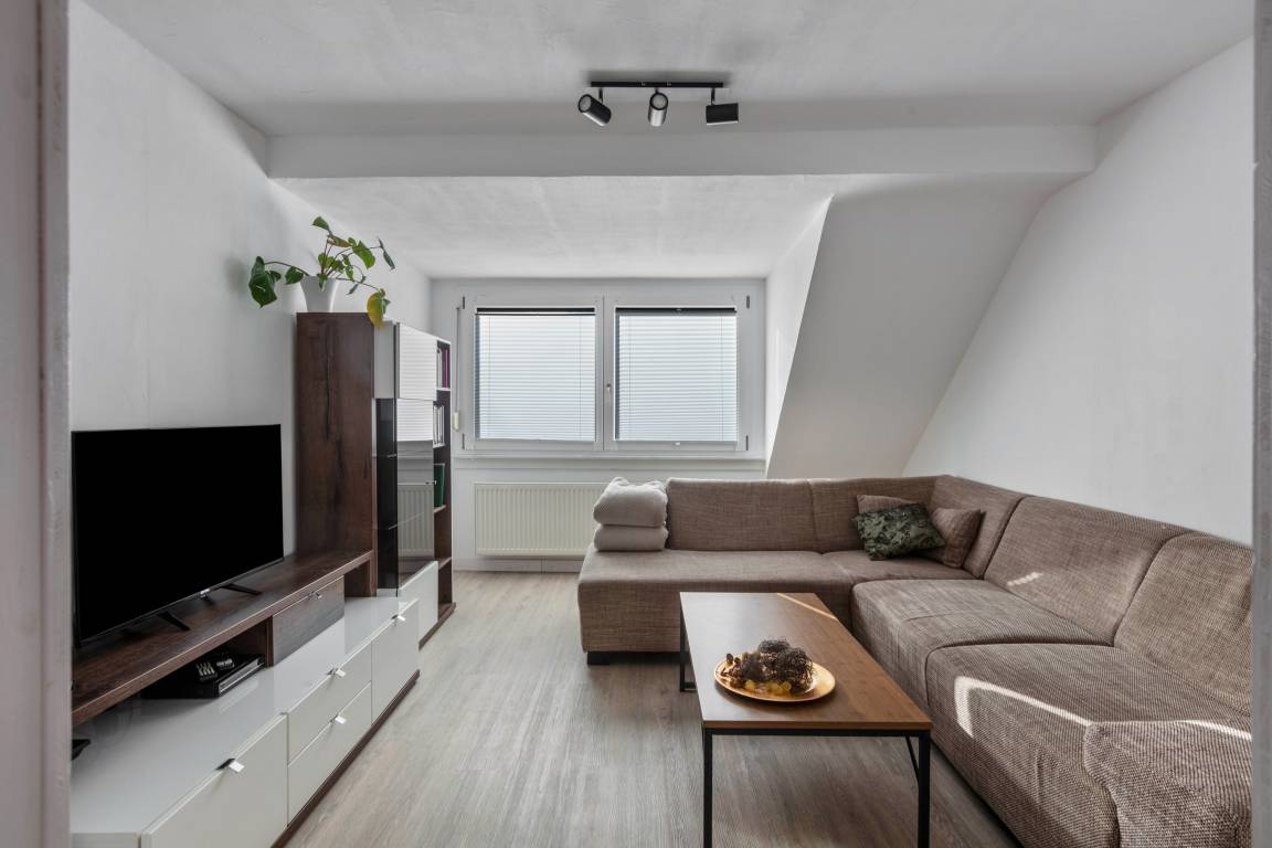 60 M² Apartamento ∙ 1 Habitación ∙ 4 Huéspedes - Rheinfelden