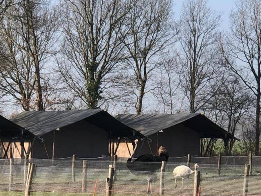 40 M² Tent ∙ 2 Bedrooms ∙ 4 Guests - Giethoorn