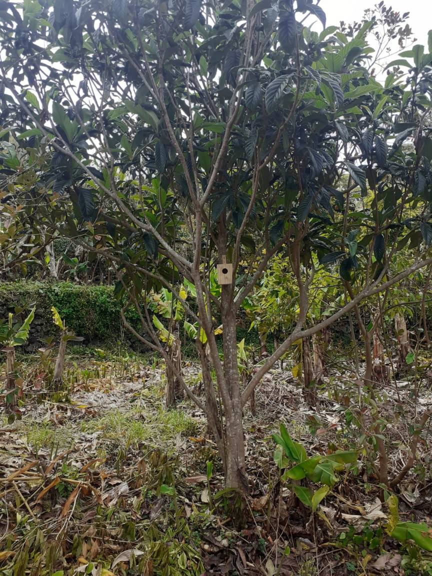 90 M² House ∙ 2 Bedrooms ∙ 4 Guests - Pico Island