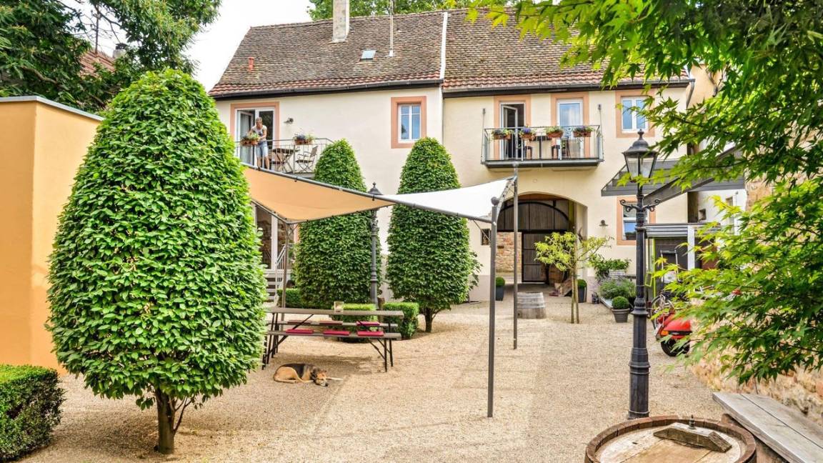 38 M² Ferienwohnung ∙ 1 Schlafzimmer ∙ 2 Gäste - Wachenheim an der Weinstraße