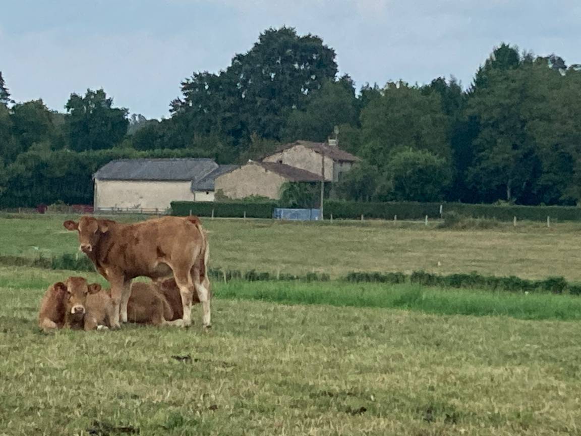 120 M² House ∙ 3 Bedrooms ∙ 6 Guests - Oradour-sur-Glane