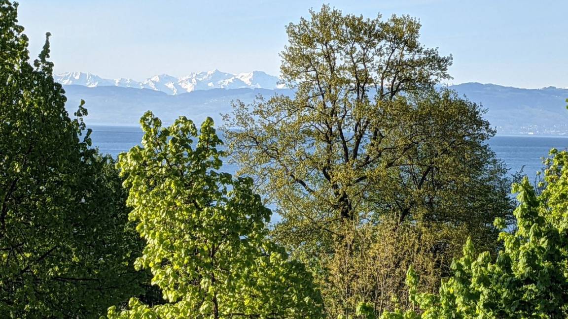 65 M² Appartement ∙ 3 Chambres ∙ 5 Personnes - Friedrichshafen