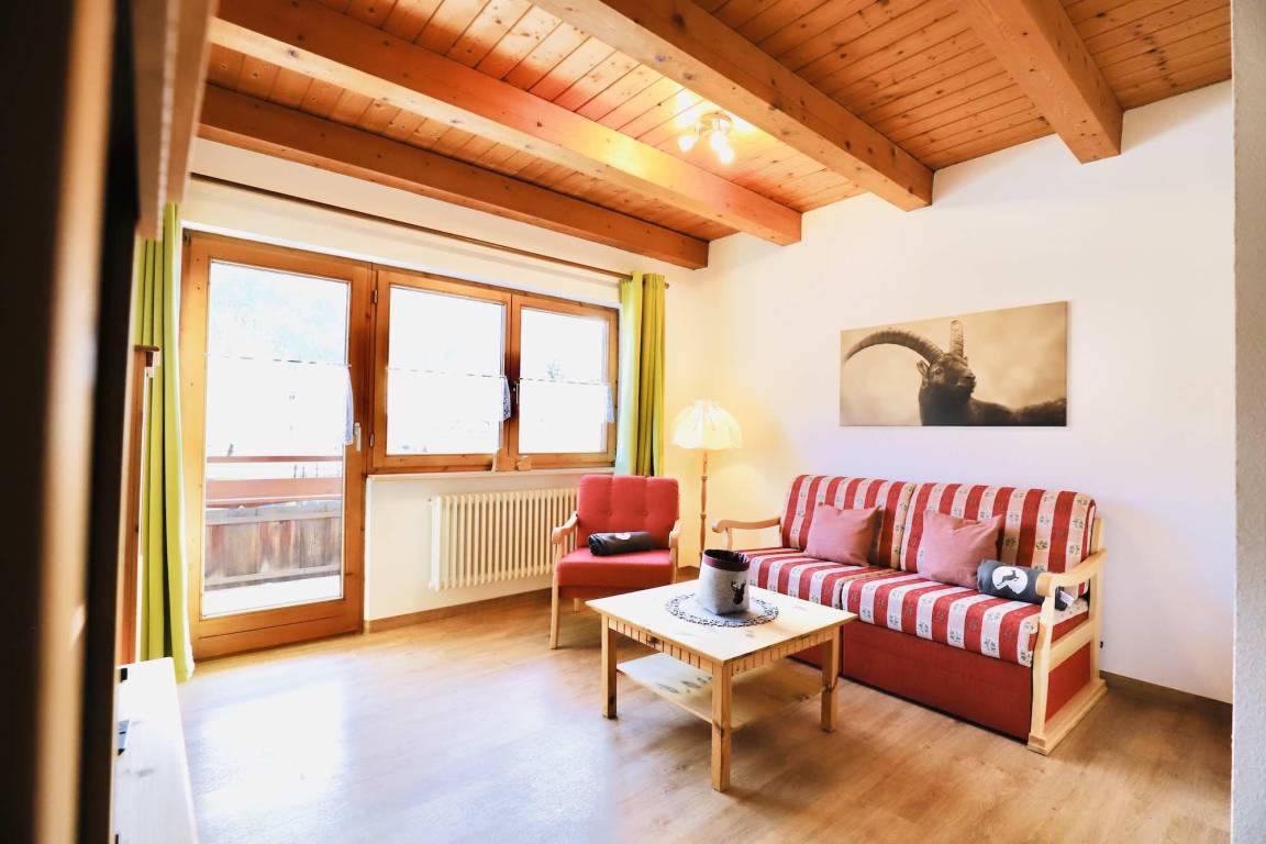 65 M² Ferienwohnung ∙ 1 Schlafzimmer ∙ 2 Gäste - Unterjoch