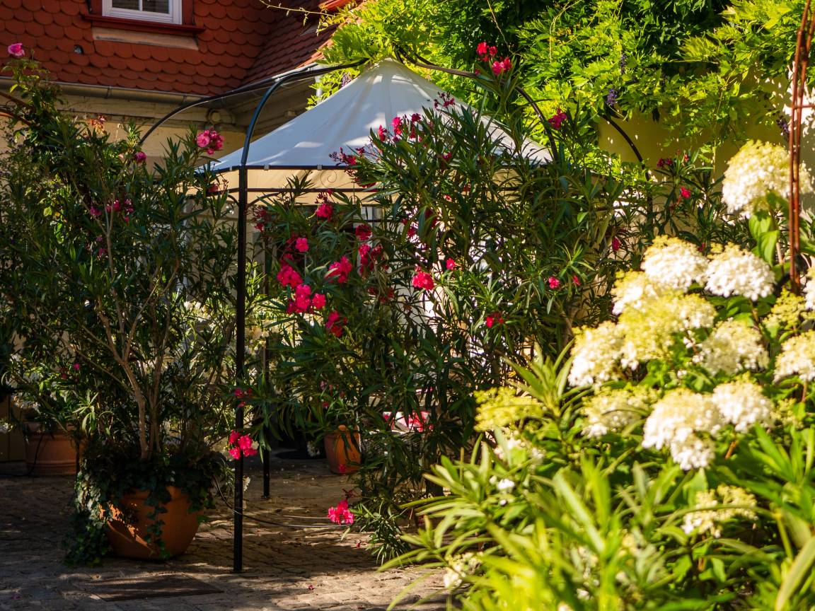 40 M² Appartement ∙ 1 Chambre ∙ 2 Personnes - Freinsheim