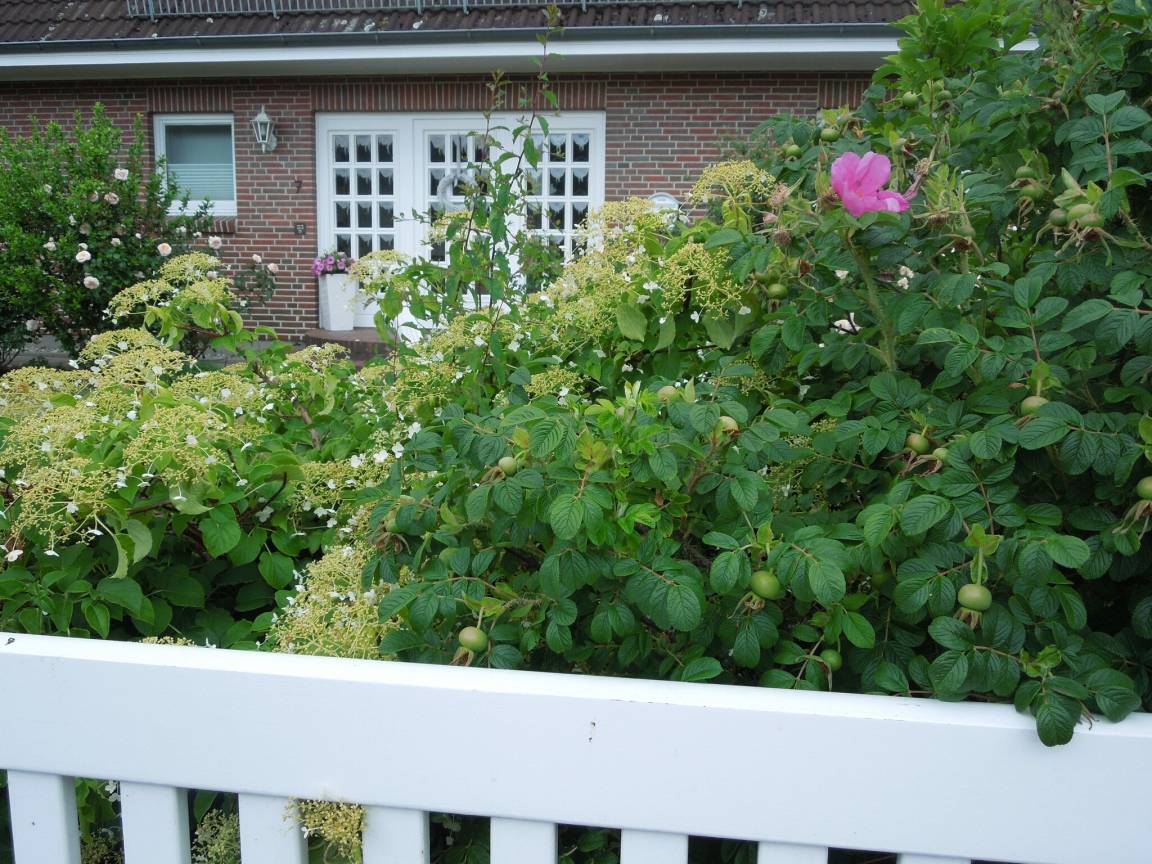110 M² Ferienwohnung ∙ 2 Schlafzimmer ∙ 4 Gäste - Dahme