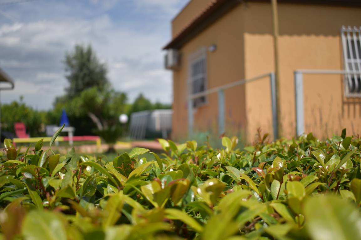 Villa ∙ 1 Chambre ∙ 3 Personnes - Floridia