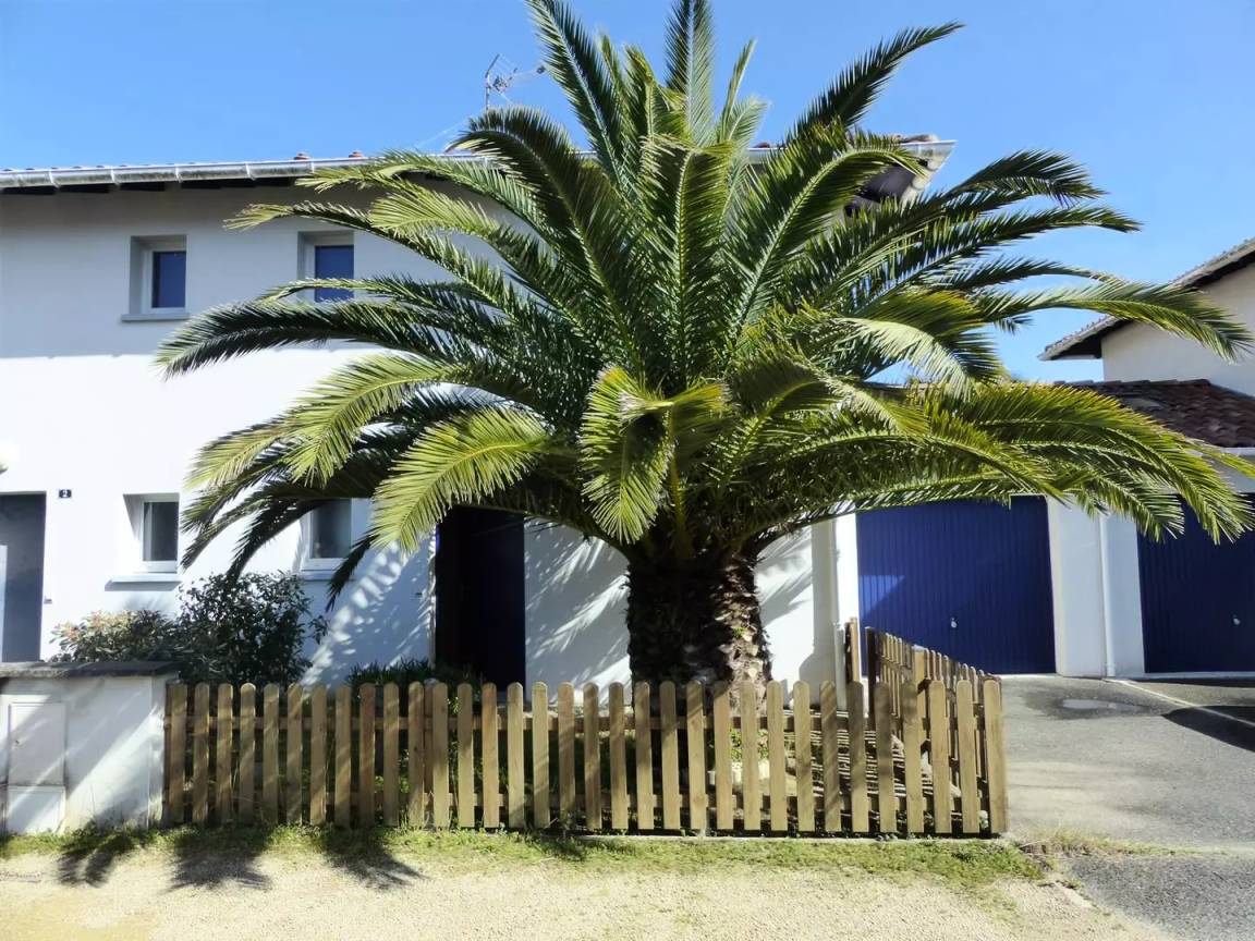 68 M² Ferienhaus ∙ 2 Schlafzimmer ∙ 4 Gäste - Capbreton