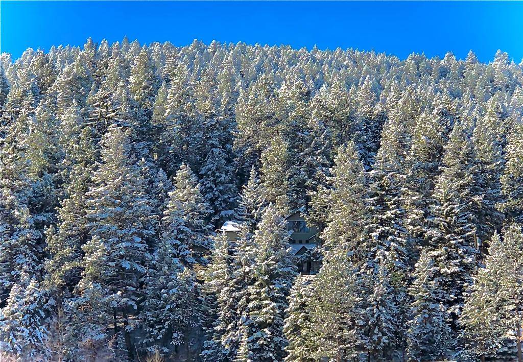 316 M² House ∙ 2 Bedrooms ∙ 4 Guests - Morrison, CO