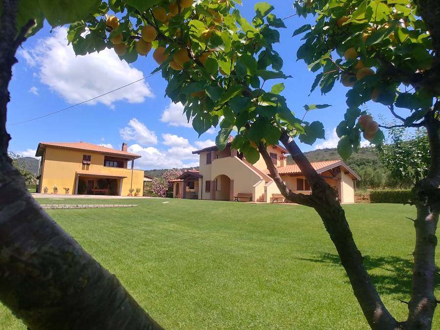 45 M² Farmhouse ∙ 2 Bedrooms ∙ 5 Guests - Castiglione della Pescaia