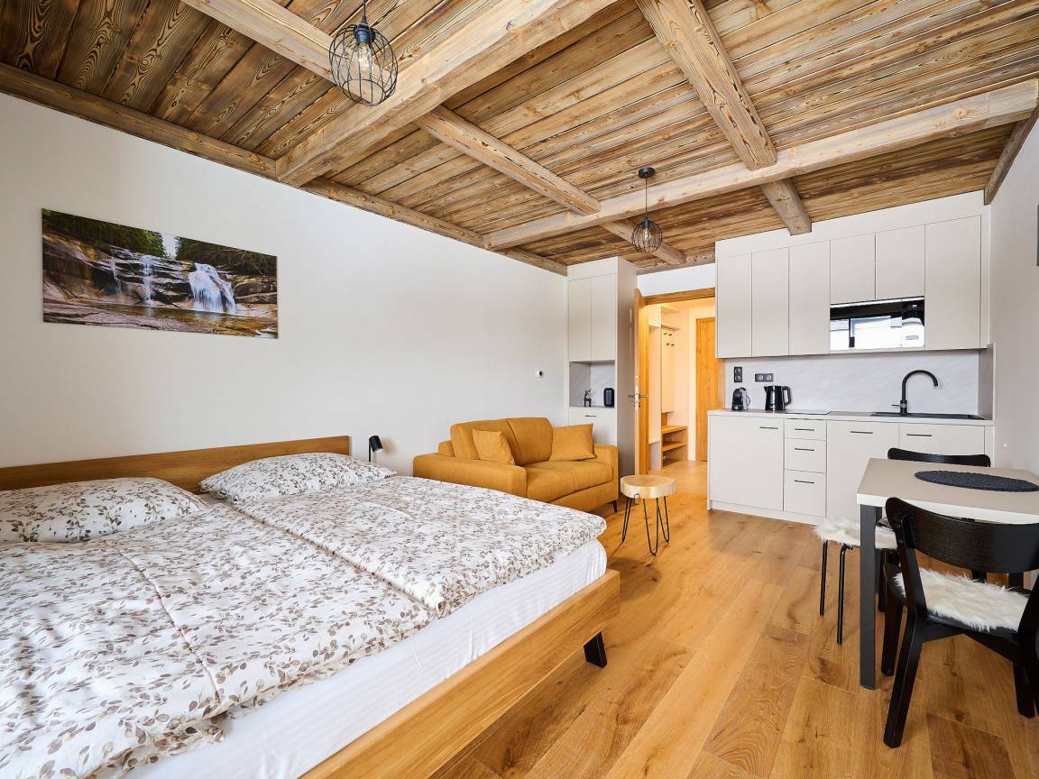 27 M² Apartment ∙ 1 Bedroom ∙ 3 Guests - Harrachov