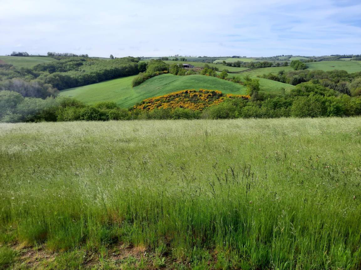 60 M² Gîte ∙ 1 Chambre ∙ 4 Personnes - Tarn