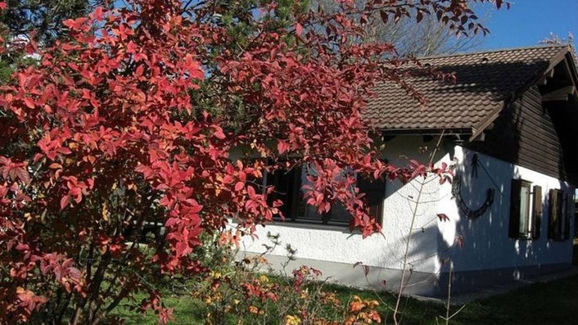 95 M² Ferienhaus ∙ 3 Schlafzimmer ∙ 6 Gäste - Nesselwang