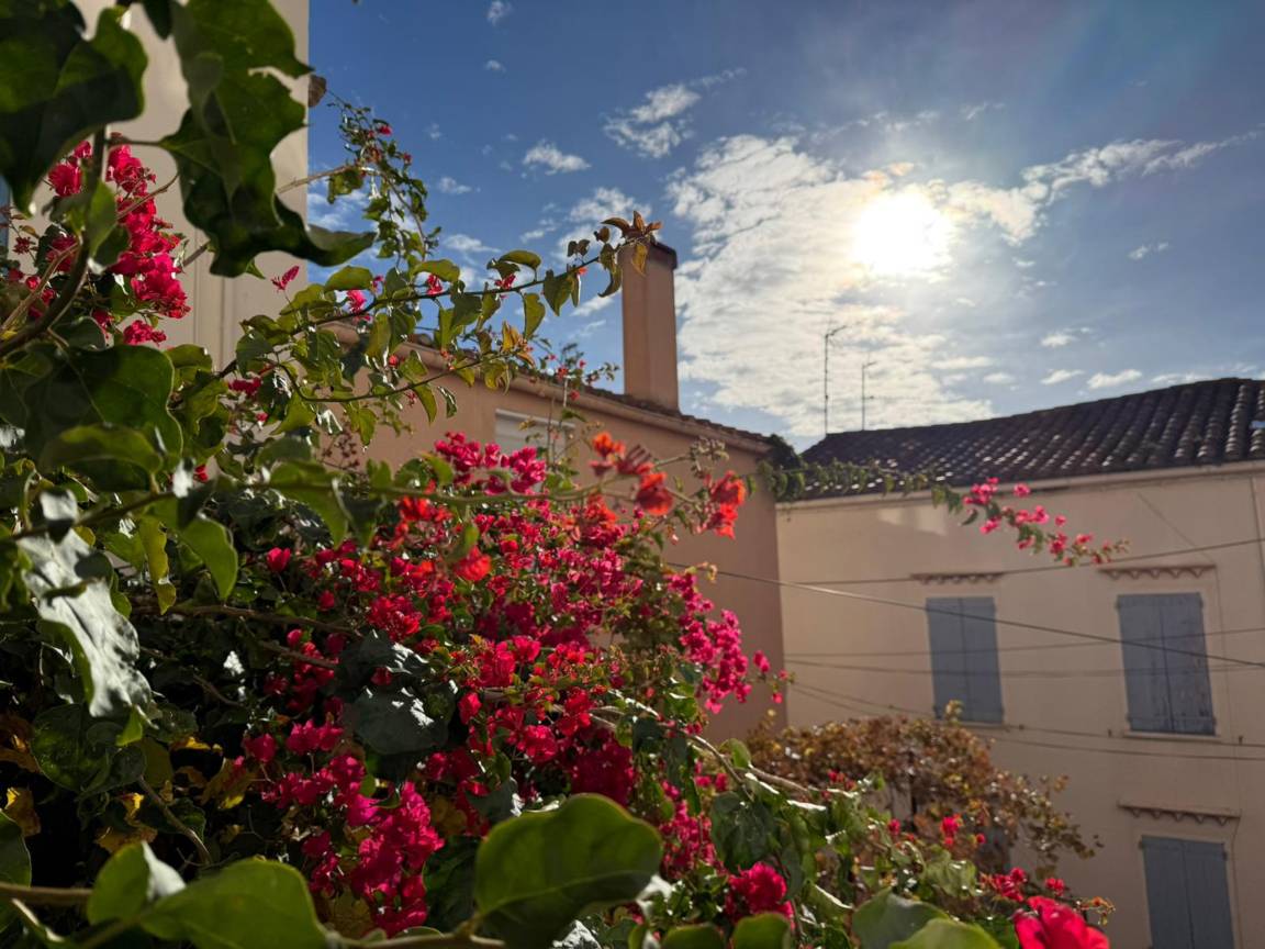 50 M² Appartement ∙ 2 Chambres ∙ 4 Personnes - Banyuls-sur-Mer