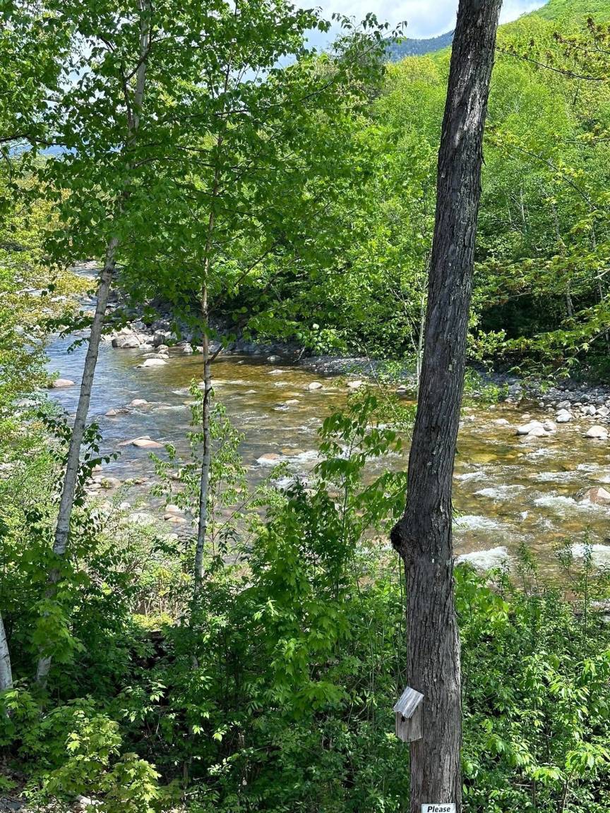 Appartement En Copropriété ∙ 4 Chambres ∙ 10 Personnes - New Hampshire