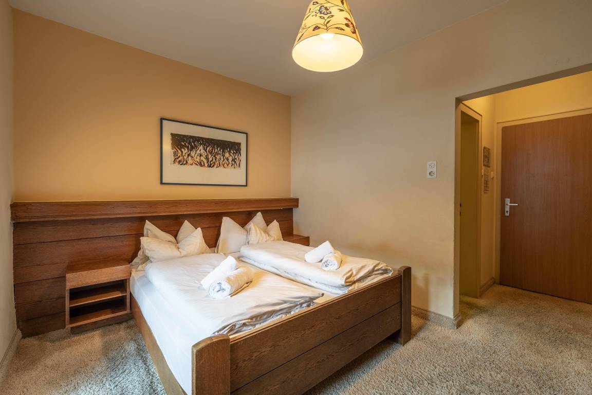 15 M² Hôtel ∙ 1 Chambre ∙ 2 Personnes - Wildschönau