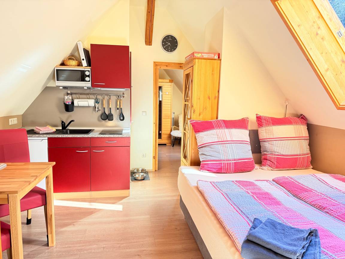 40 M² Studio Flat ∙ 2 Guests - Bad Wildbad