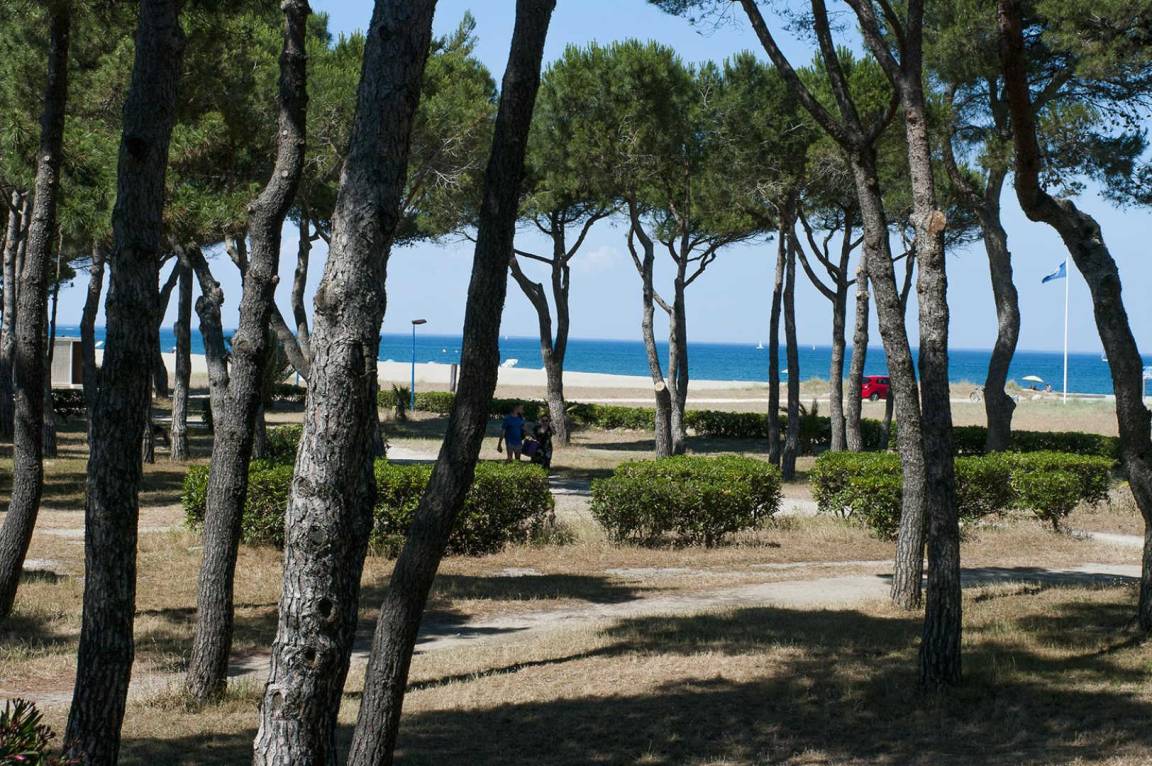 33 M² Gîte ∙ 2 Personnes - Saint-Cyprien