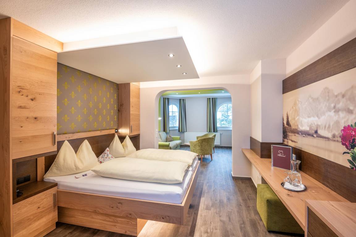 45 M² Hotel ∙ 1 Habitación ∙ 2 Huéspedes - Schladming