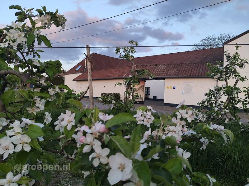 Maison De Vacances ∙ 6 Chambres ∙ 16 Personnes - Alken