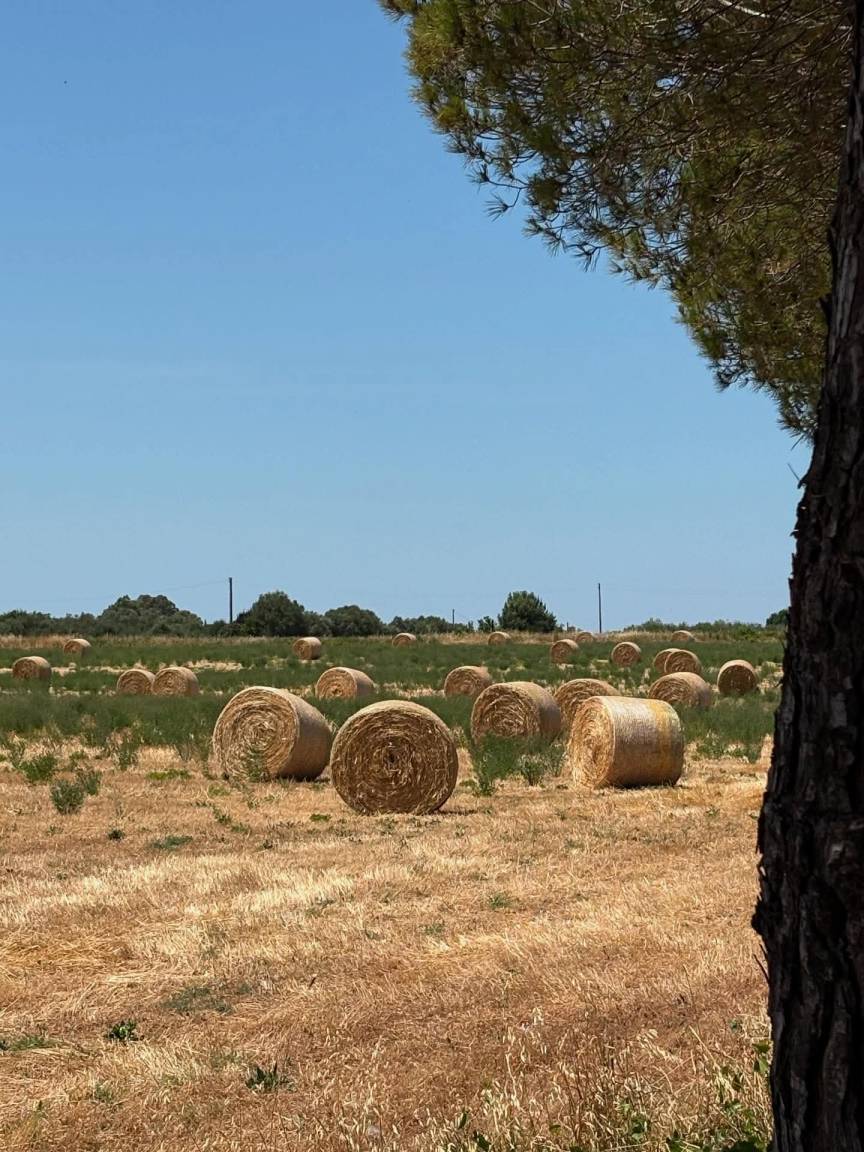 60 M² Apartment ∙ 2 Bedrooms ∙ 4 Guests - Cecina