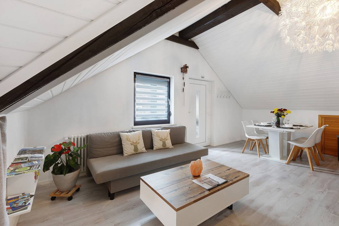 155 M² Maison De Vacances ∙ 4 Chambres ∙ 10 Personnes - Schluchsee