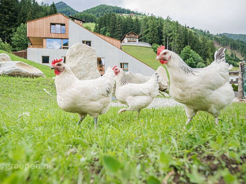 Casa Vacanza ∙ 5 Camere Da Letto ∙ 18 Ospiti - Valle Aurina