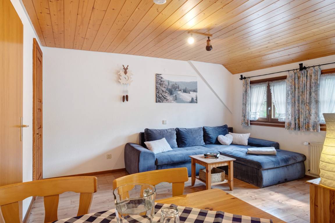 45 M² Ferienwohnung ∙ 2 Schlafzimmer ∙ 4 Gäste - Todtnau