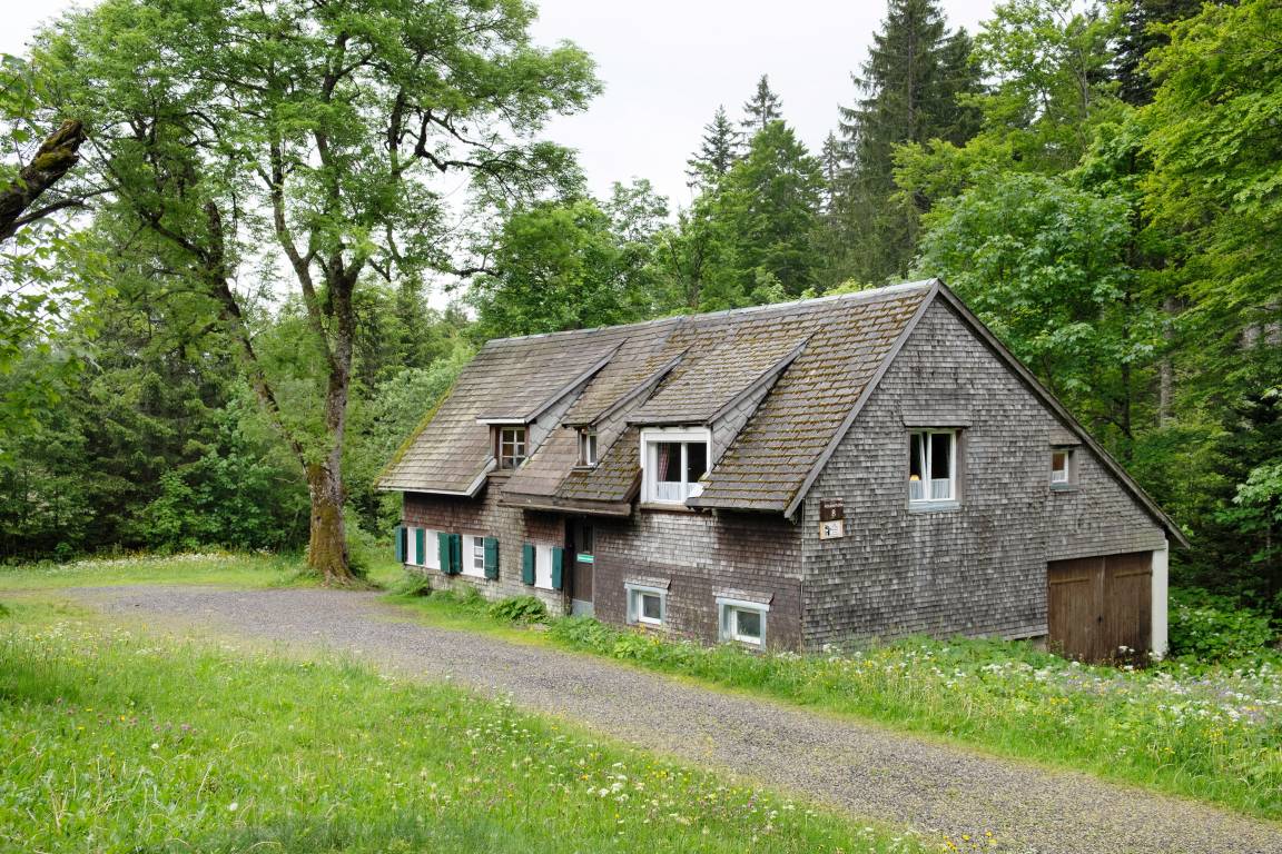 30 M² Appartement ∙ 1 Chambre ∙ 4 Personnes - Feldberg