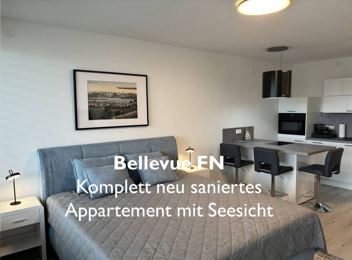 Apartamento ∙ 1 Habitación ∙ 3 Huéspedes - Friedrichshafen