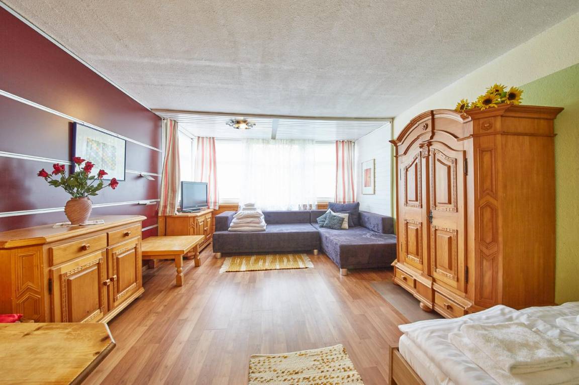 29 M² Apartment ∙ 1 Bedroom ∙ 4 Guests - Saalbach-Hinterglemm