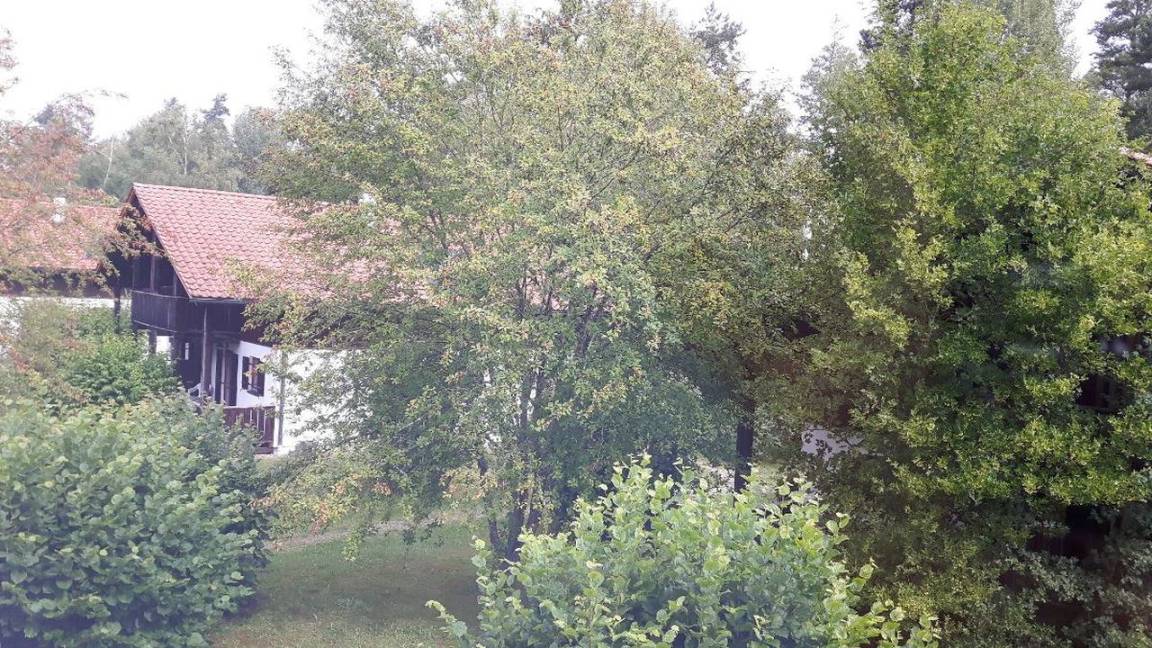 Ferienhaus ∙ 2 Gäste - Bodenmais