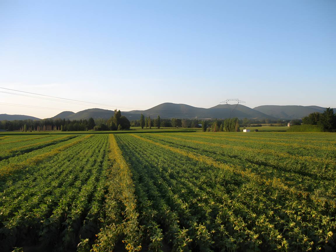 90 M² Appartement ∙ 2 Chambres ∙ 4 Personnes - Montélimar