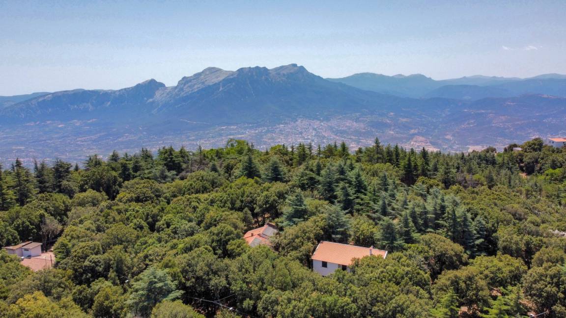 41 M² Appartement ∙ 1 Chambre ∙ 2 Personnes - Nuoro