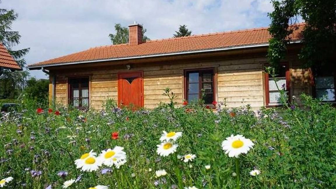 25 M² Apartment ∙ 2 Guests - Greifswald