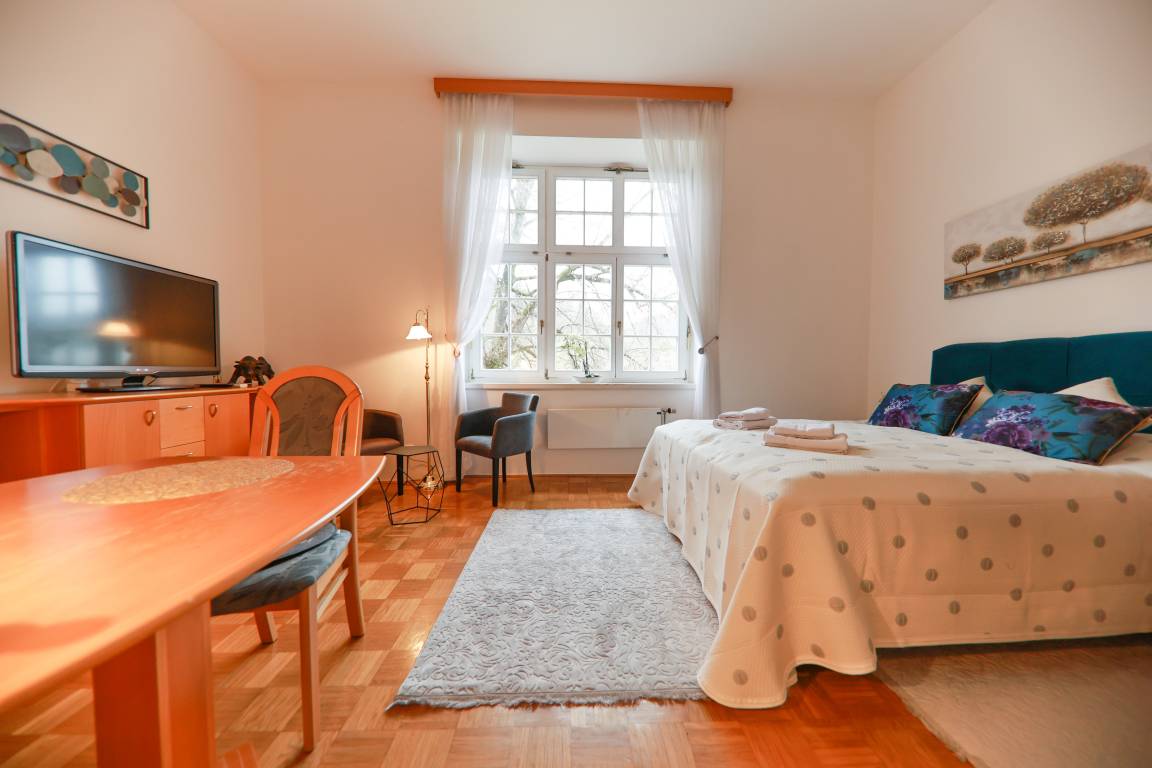 30 M² Studio Flat ∙ 1 Bedroom ∙ 2 Guests - Rogaška Slatina