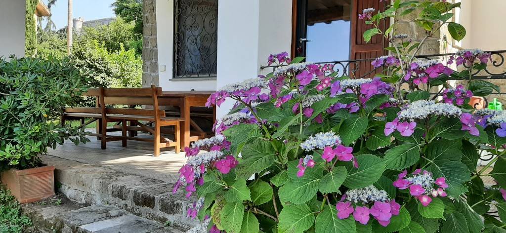 123 M² Villa ∙ 3 Chambres ∙ 5 Personnes - Bracciano