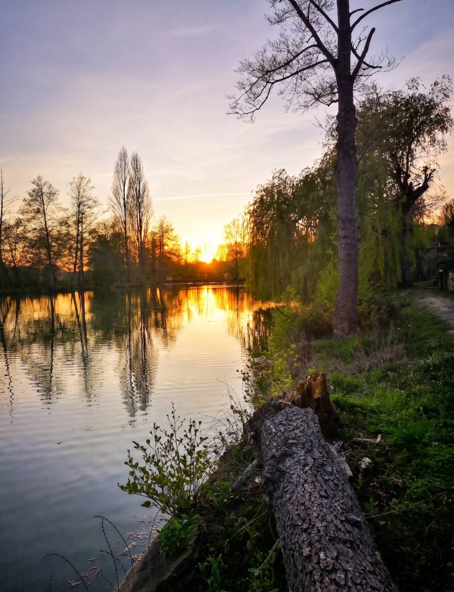 40 M² Chalet ∙ 2 Chambres ∙ 4 Personnes - Gers