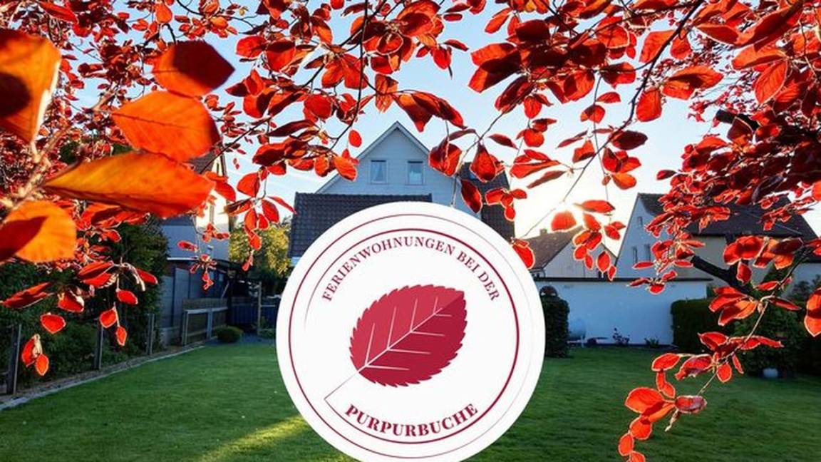 120 M² Appartement ∙ 3 Slaapkamers ∙ 6 Gasten - Bad Harzburg