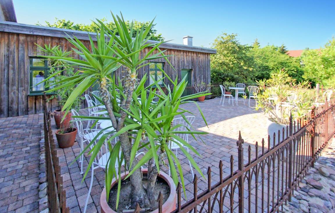 220 M² Bauernhof ∙ 8 Schlafzimmer ∙ 16 Gäste - Mecklenburgische Seenplatte