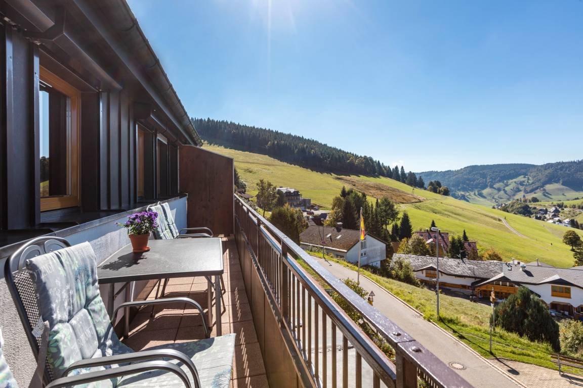 55 M² Appartement ∙ 2 Slaapkamers ∙ 4 Gasten - Todtnau
