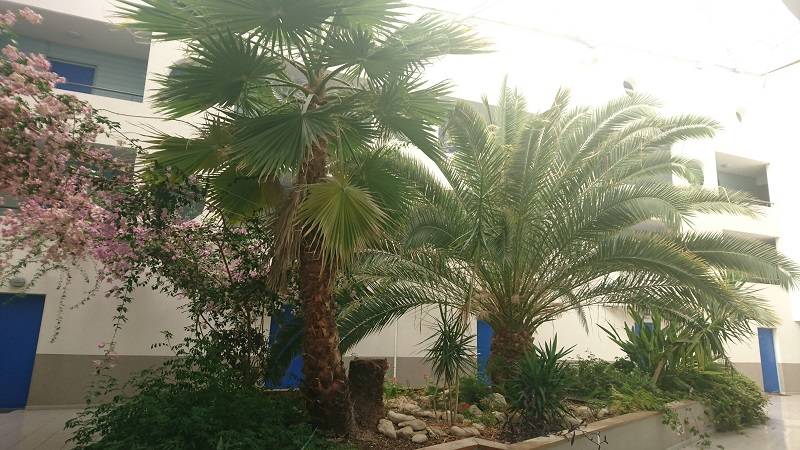 25 M² Appartement ∙ 1 Chambre ∙ 2 Personnes - Châtelaillon-Plage