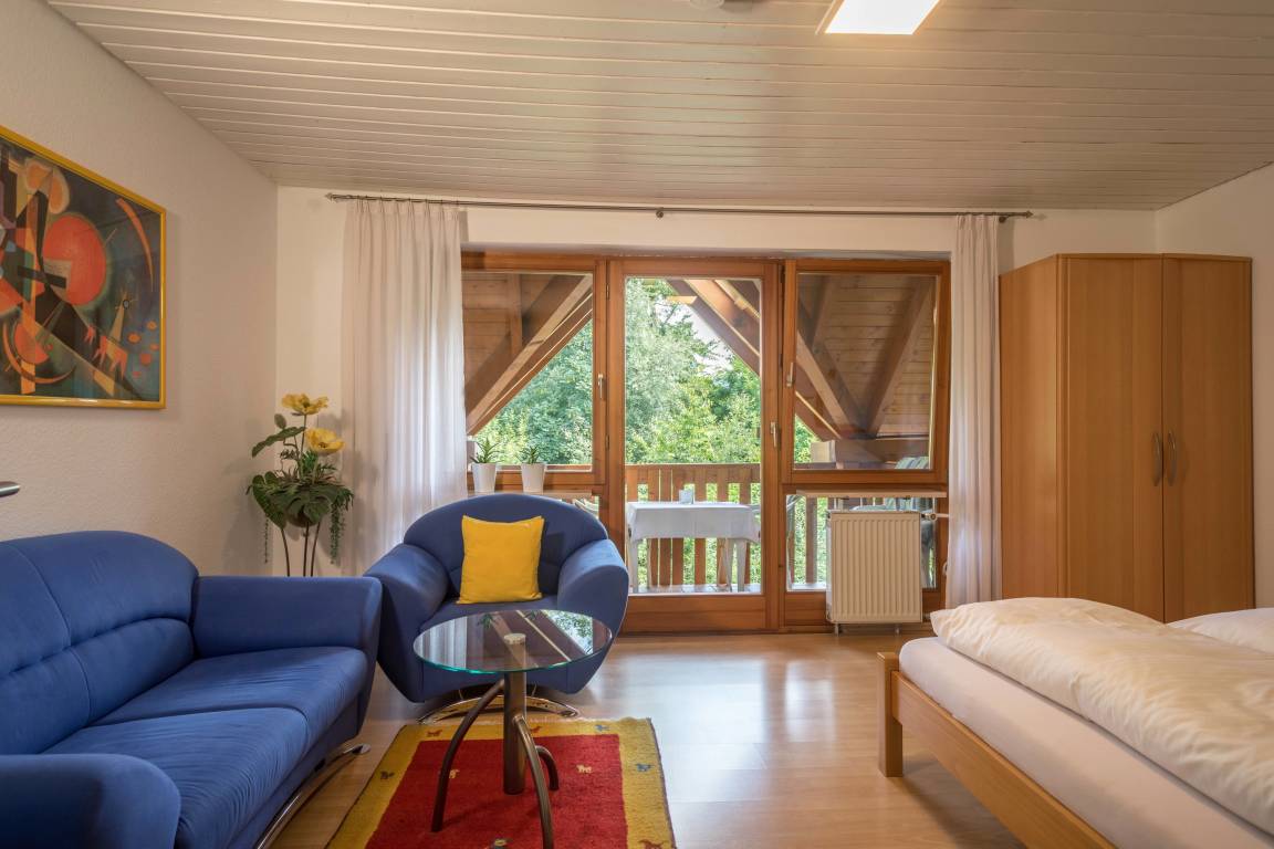 55 M² Apartment ∙ 2 Bedrooms ∙ 4 Guests - Bregenz